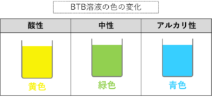 BTB溶液の色の変化【中学 理科】｜かめのこブログ