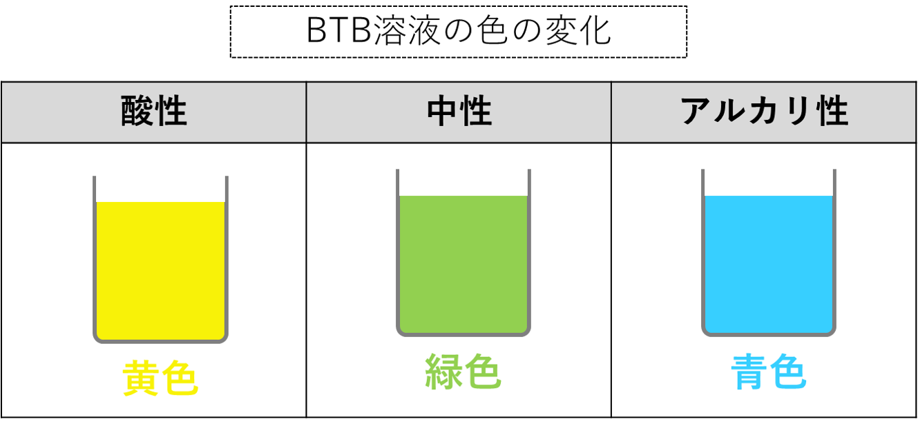 BTB溶液の色の変化【中学 理科】｜かめのこブログ